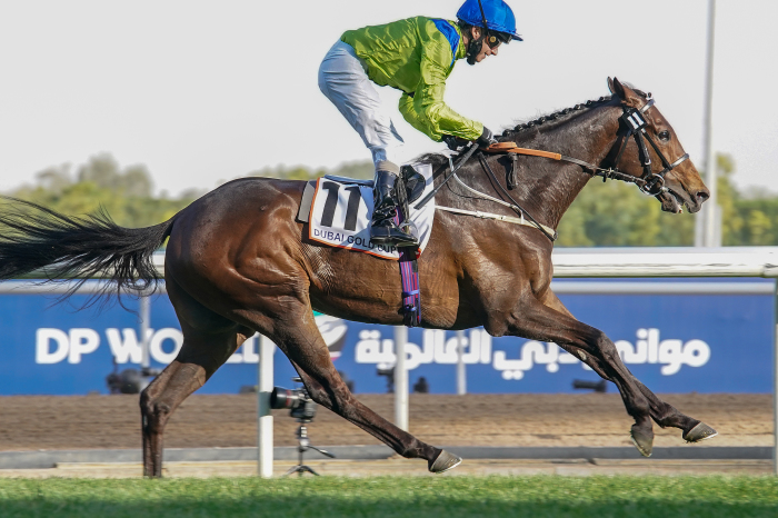 Subjectivist's racing career in doubt after season-ending leg injury ...