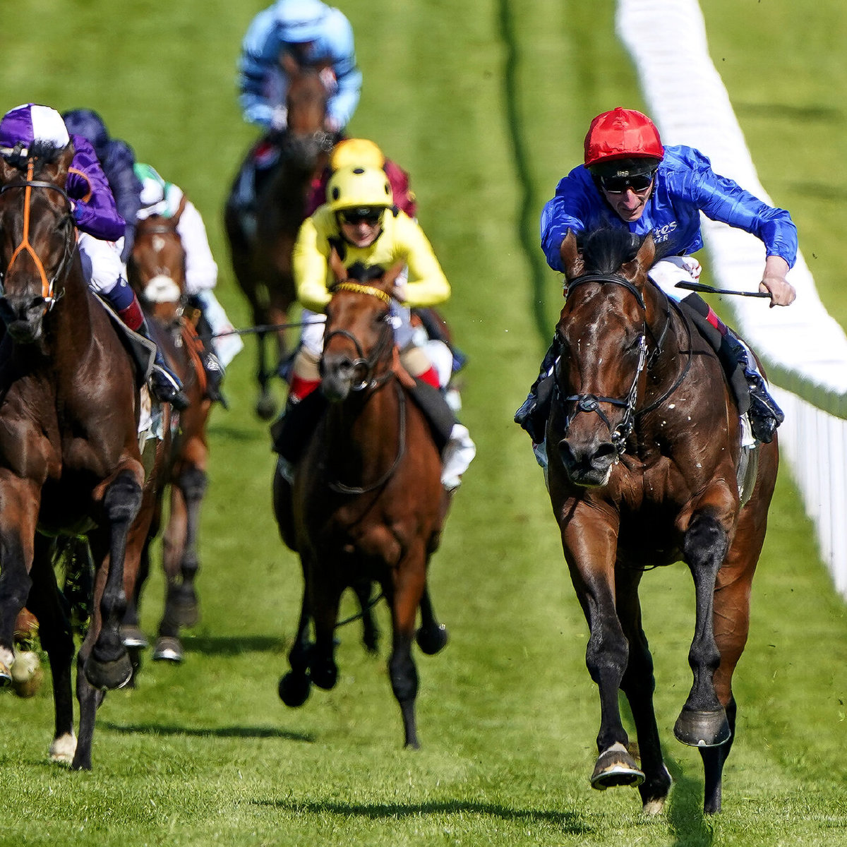 Adayar Profile | PlanetSport