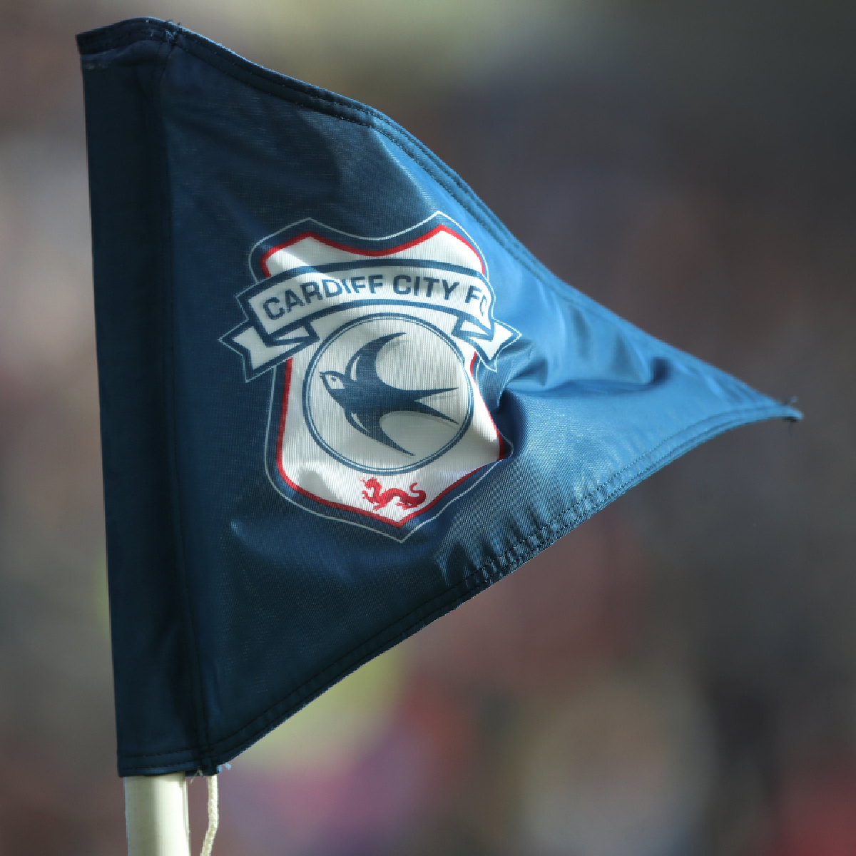 Cardiff City Profile | PlanetSport