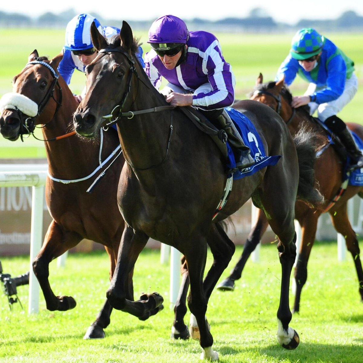 High Definition could focus on Dante ahead of Epsom Derby assault ...