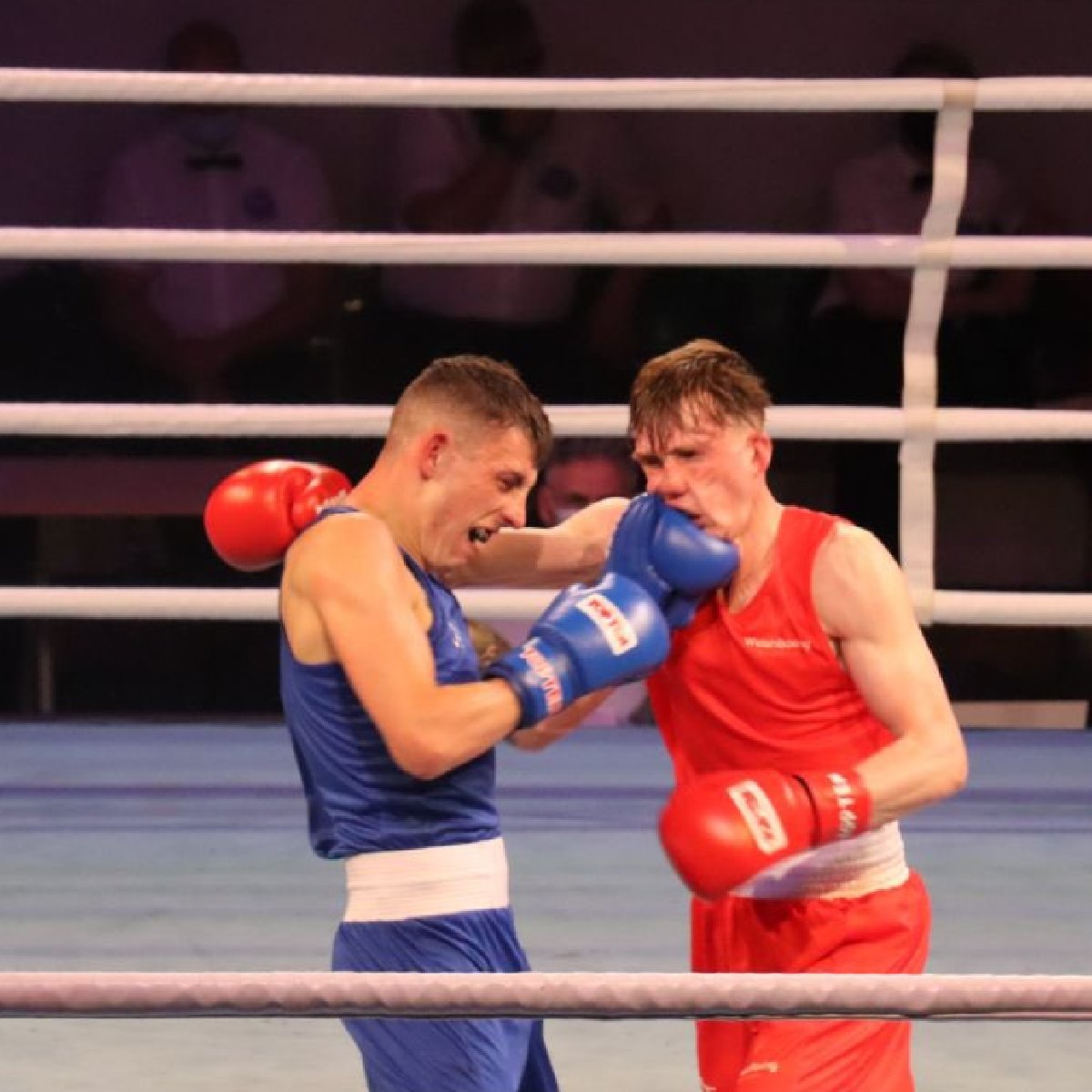 Exclusive: Niall Farrell rejuvenated following ring return, targets ...