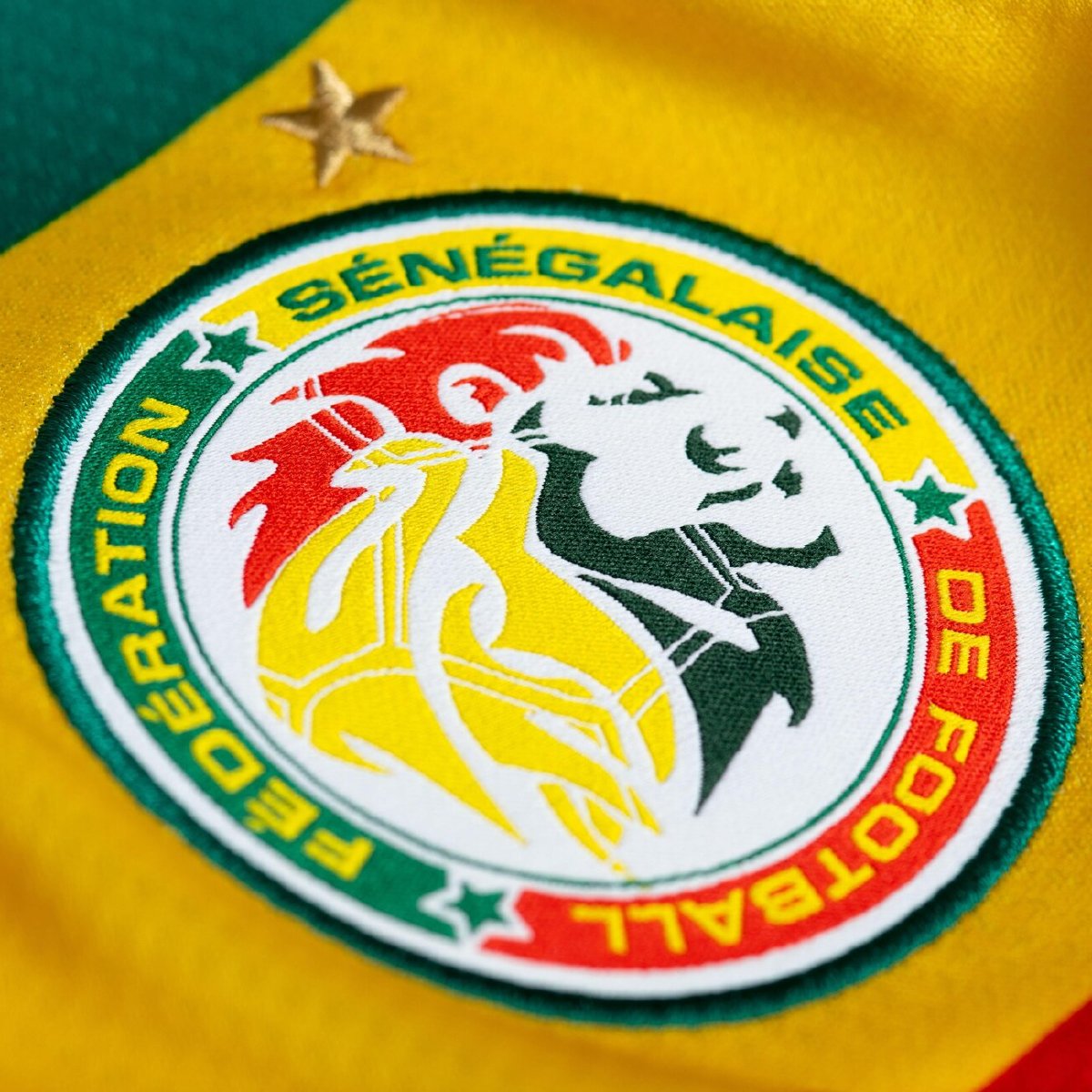 Senegal Profile | PlanetSport