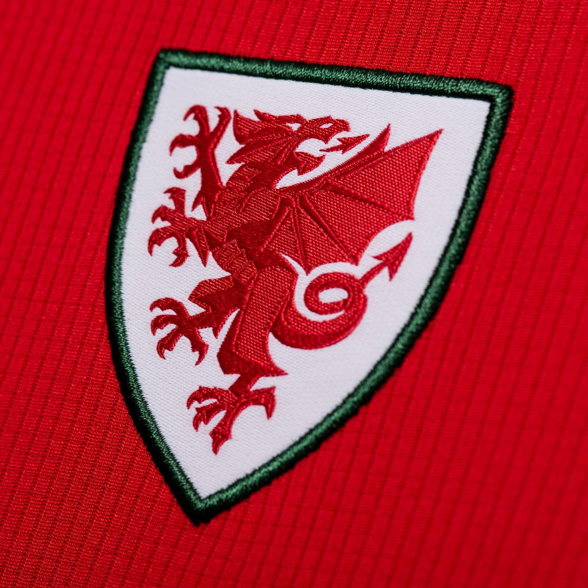 Wales Profile | PlanetSport