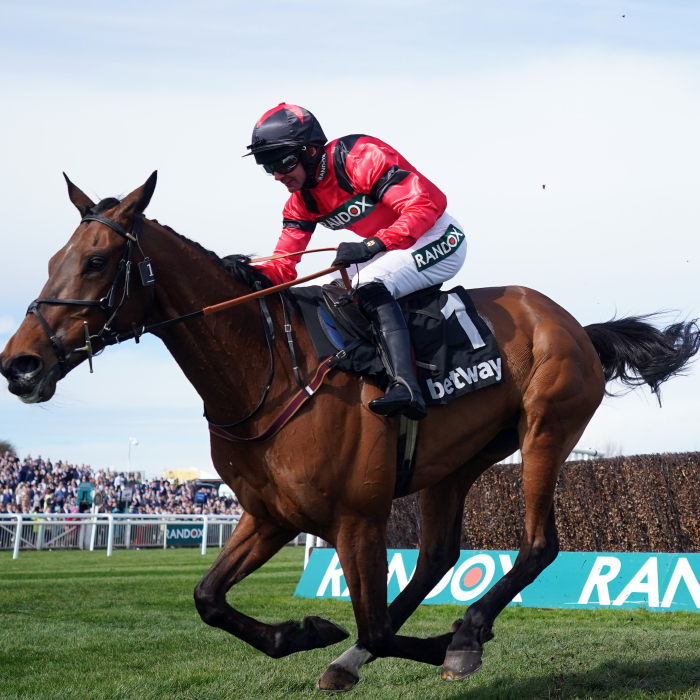 Safe ground permitting, Ahoy Senor looks set to return in the Charlie ...
